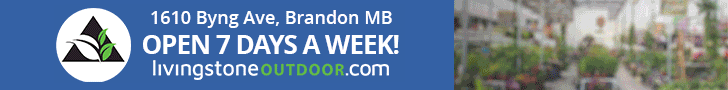 Automotive : SUVs/Trucks/Vans - Brandon, Manitoba Classifieds