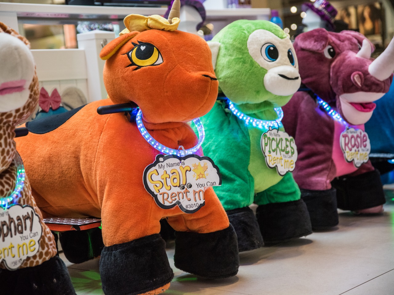 In pics: Stuffy Riders (and accompanying smiles) debut at Shoppers Mall ...