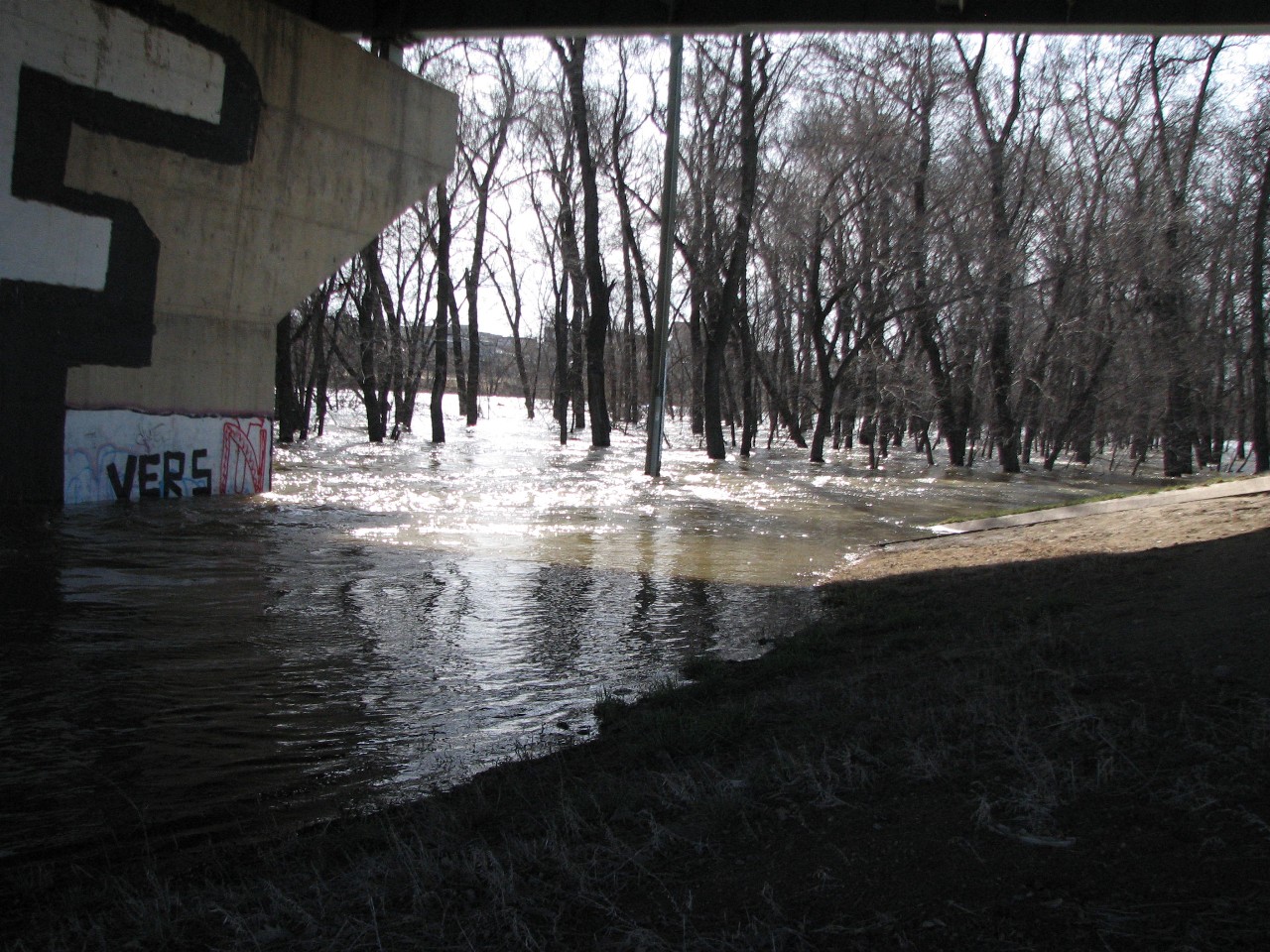 Assiniboine River at Brandon reaches flood stage | Discussions ...