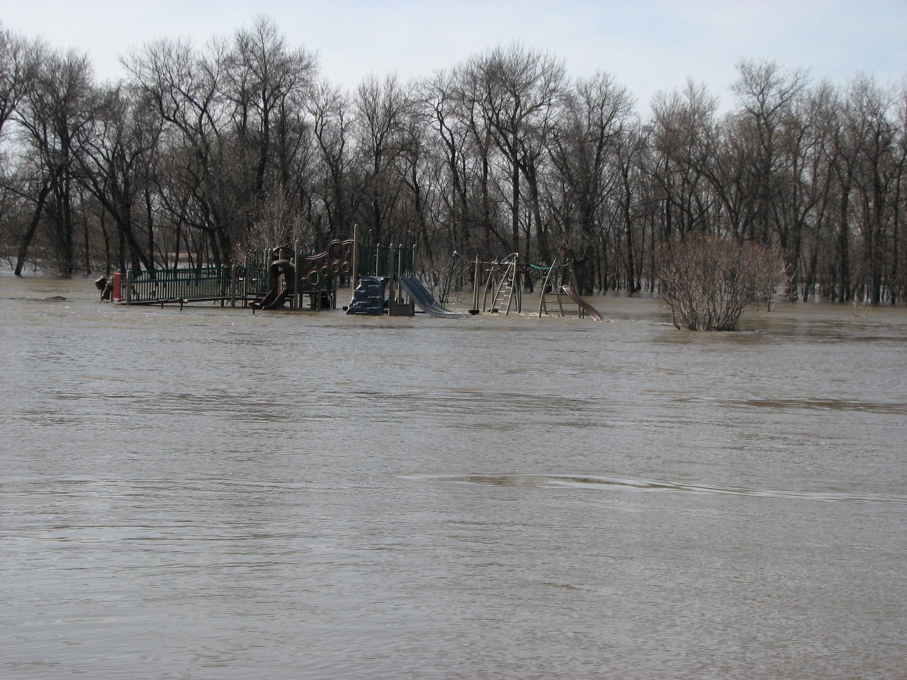 Assiniboine River at Brandon reaches flood stage | Discussions ...